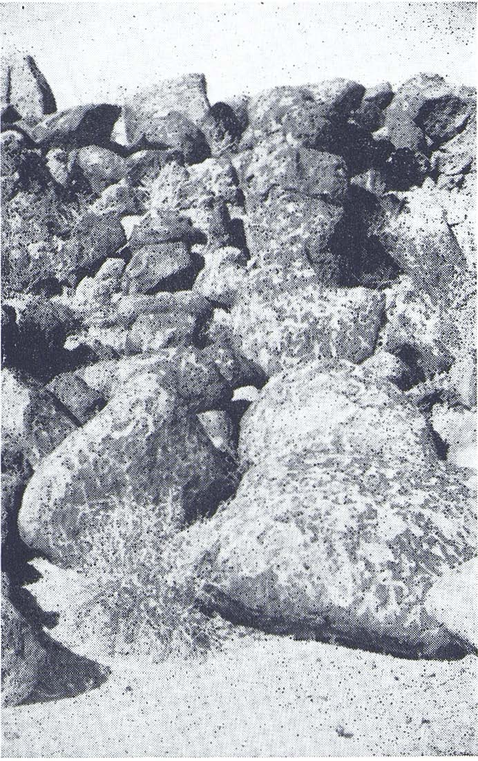 THE PAINTED ROCKS | Arizona Highways