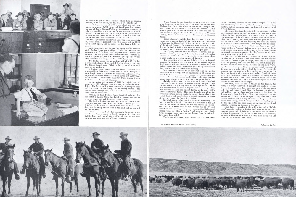 The Buffalo Hunt | Arizona Highways
