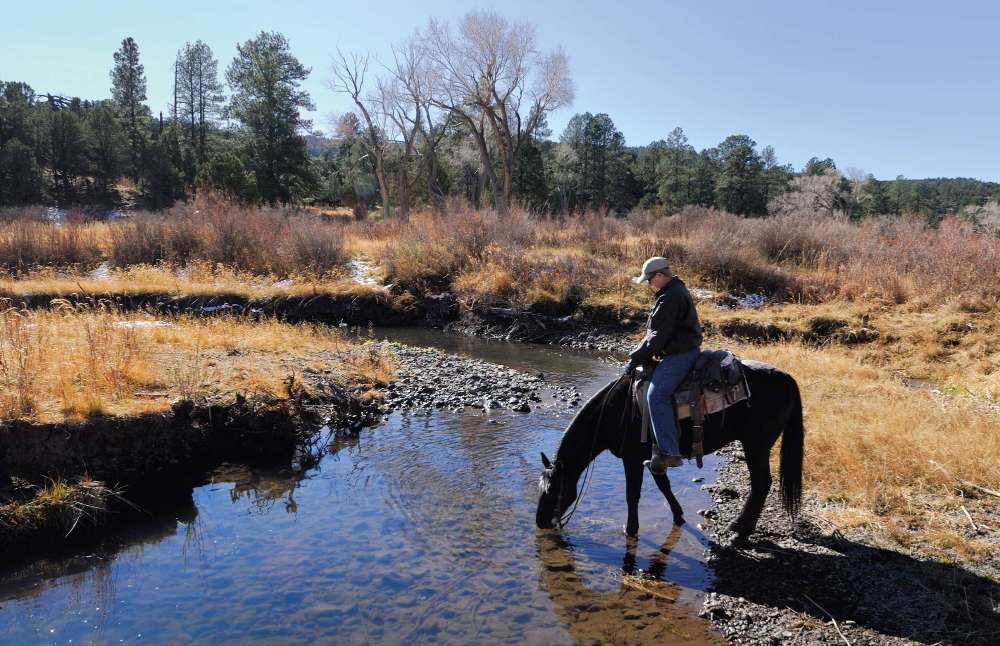 MANE COURSES | Arizona Highways